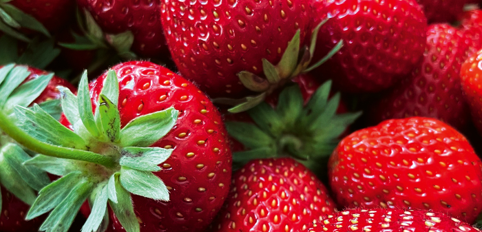 Sommergudstjeneste og jordbærkager | troweb.org